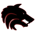 Desert Mountain Wolves Basketball