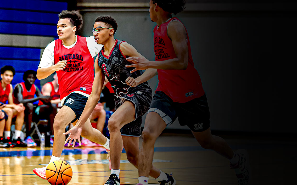 Desert Mountain Wolves Basketball